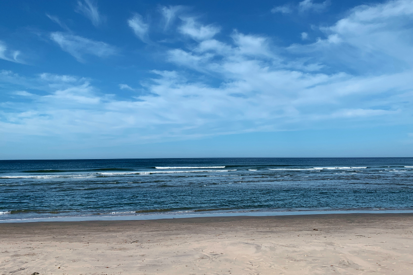 7 Best Goa Beaches for the Perfect Vacation - From Here to India