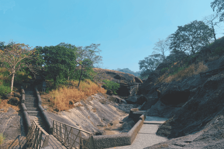 Sanjay Gandhi National Park: The Perfect Guide for Travelers - From ...